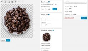 Best Divi Image Sizes Cheat Sheet for Your Website | Markhendriksen.com