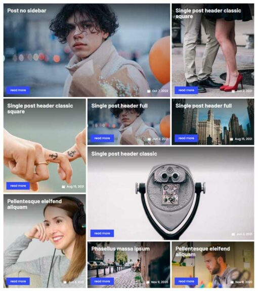 The Best Divi Blog Layouts (FREE & Premium) for 2024