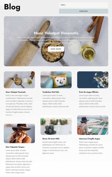 The Best Divi Blog Layouts (FREE & Premium) for 2024