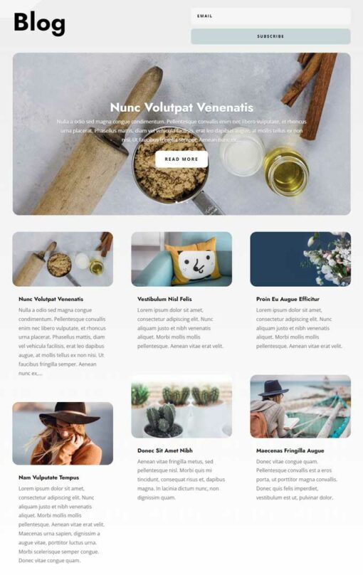 The Best Divi Blog Layouts (FREE & Premium) for 2024